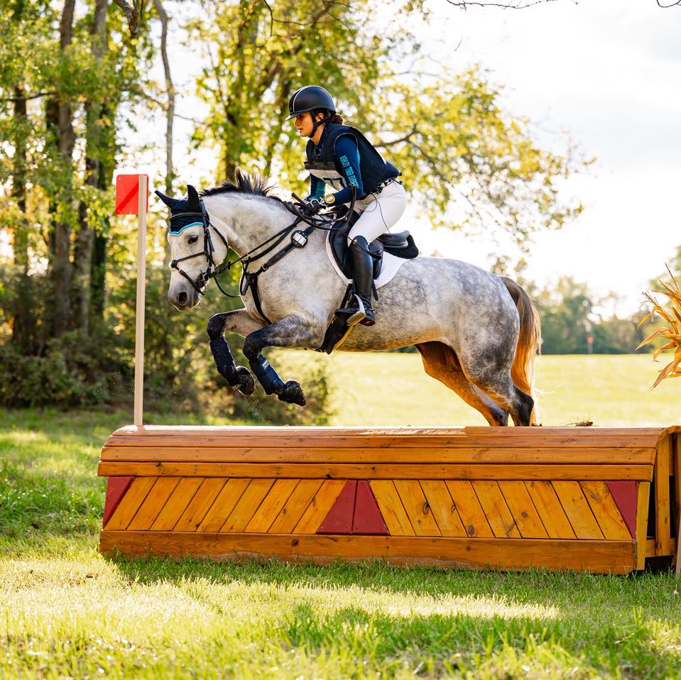 Magic Carpet - Sport Horse Nation