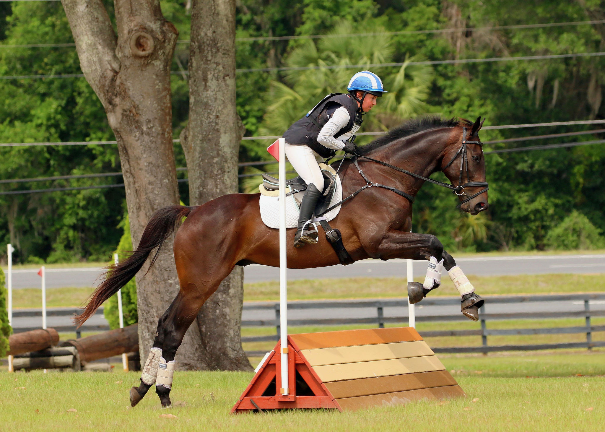 Upper Level Prospect, will excel with AA, YR or Professional - Starter ...