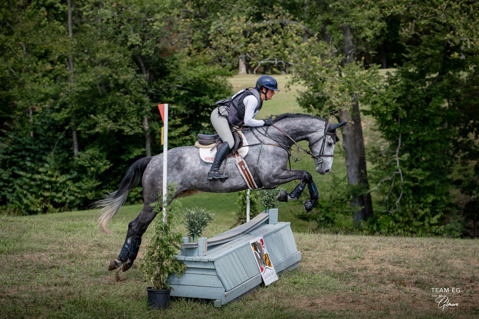 Stunning, soft and uncomplicated - Sport Horse Nation