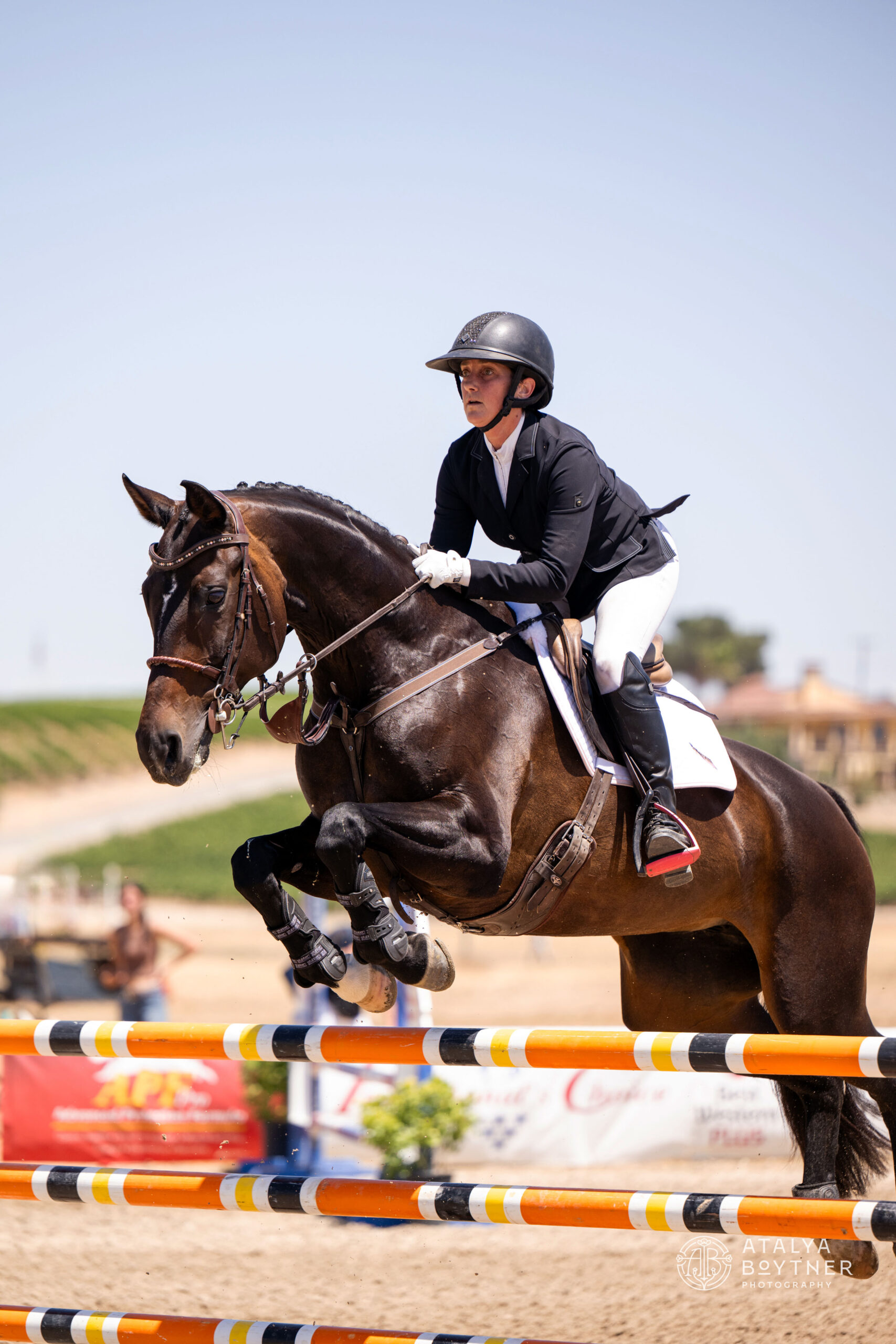 Full time Eventing Groom Wanted: TH Eventing is Hiring! - Sport Horse ...