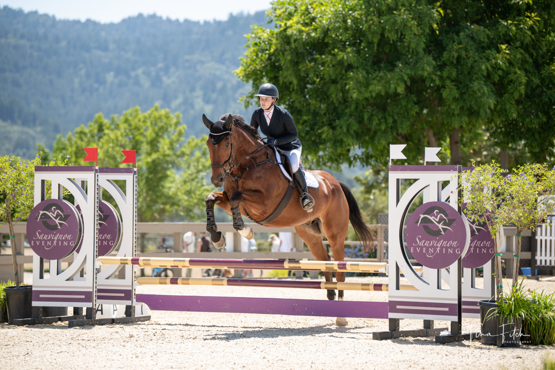 Talented ISH Eventing/Jumper Prospect - Sport Horse Nation