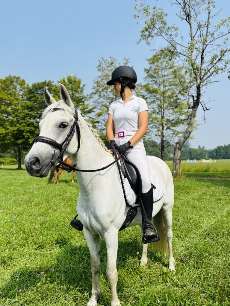 Farkleberry Fergus - Young Connemara Event Prospect - Sport Horse Nation